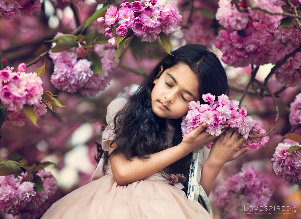 Cherry Blossom Photography Vancouver 2026 - Lovespired | Vancouver ...